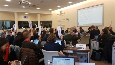 declaration adopted by the lisbon recognition convention committee on