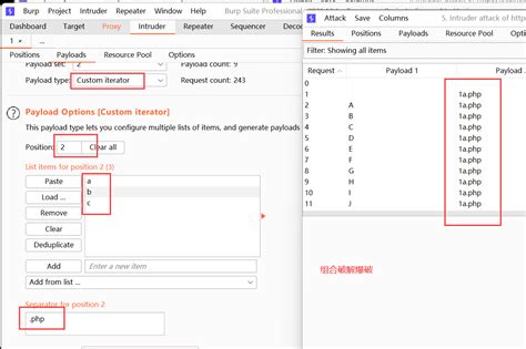 Burpsuite全套使用教程（超实用超详细介绍）burpsuite教程 Csdn博客