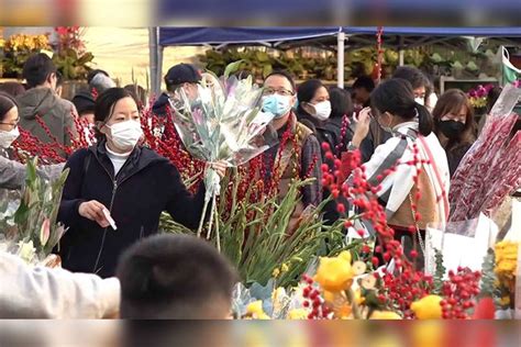 香港市民逛花市买年花：盼新年到内地 多看看祖国大好风光