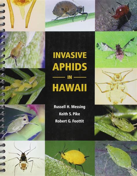 Invasive Aphids In Hawaii Messing Russell H Pike Keith S Foottit