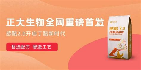 外三元均價漲至31元，儲備肉投放頻率或下降——6月8日豬價快報 每日頭條