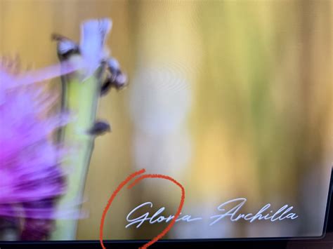 P Watermark Cut Off At The Bottom When Exporting Adobe Support