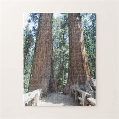 Sequoia National Park Jigsaw Puzzle Zazzle