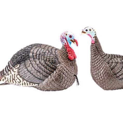 Newsale Hunters Specialties Hs Strut Strut Lite Hen And Jake Turkey