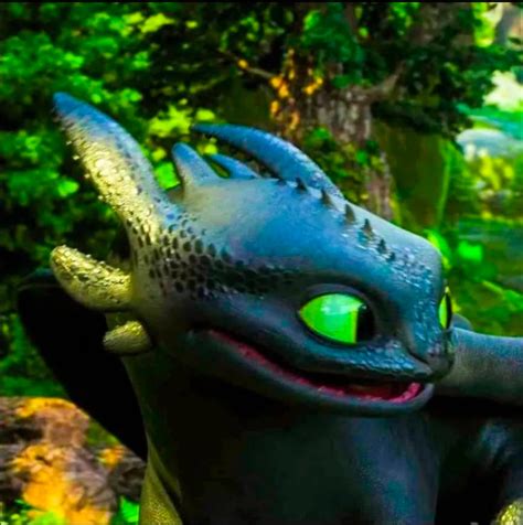 Toothless 29 By Spider1m On Deviantart