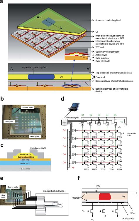 Figure 1 From Toward Active Matrix Lab On A Chip Programmable Electrofluidic Control Enabled By
