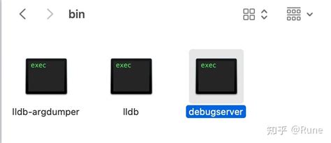 Macos升级后vscodecodelldb调试进程闪退无反应解决方案 知乎