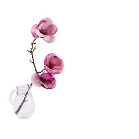 Page 4 Images De Fleur Png Téléchargement Gratuit Sur Freepik