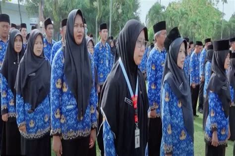 Segera Dapat NIP Tenaga Honorer Bakal Dapat Gaji Dan Hak Hak Sesuai UU