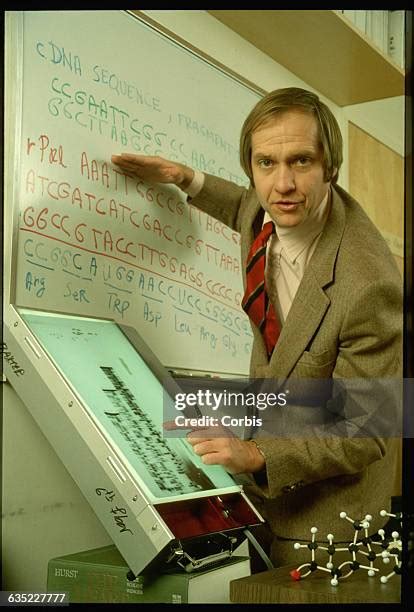 Prolactin Photos And Premium High Res Pictures Getty Images