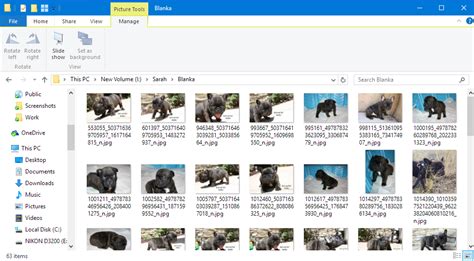 Tips Memakai File Explorer Di Windows Telset