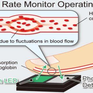 Pulse Measurement Method Download Scientific Diagram