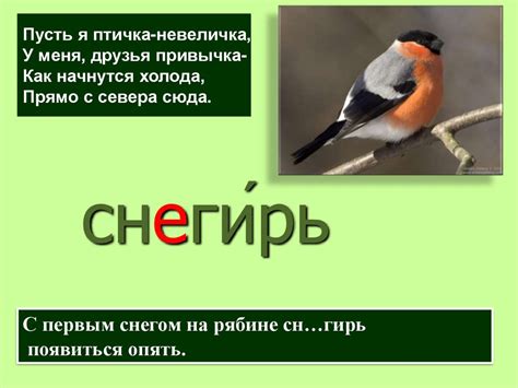 Словарные слова для 1 класса - презентация онлайн