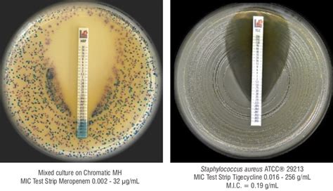 Mic Test Strip Plastlabor