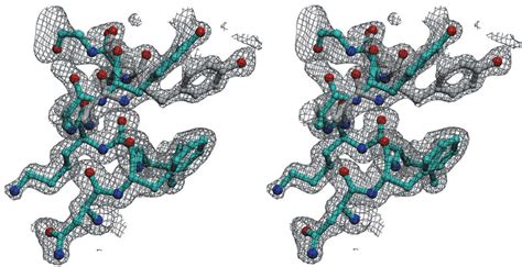 Electron Density Map For Helix 2 A 15 Å Resolution Electron Density