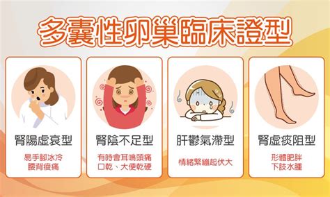 多囊性卵巢症候群澄觀 台北 蔡典芝醫師 臻觀中醫醫療體系