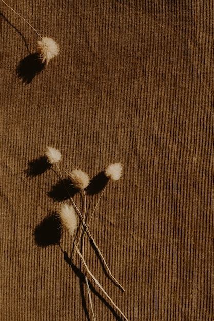 Página 2 Imágenes De Fondos Pantalla Aesthetic Marron Descarga