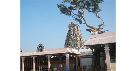 Palani Murugan Temple Arulmigu Dhandayuthapani Swamy Thirukoildarshan