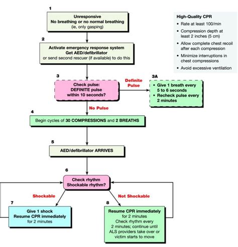 Basic Life Support For Adults Quick Bls Guide