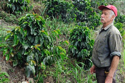 콜롬비아 커피문화경관 두피디아 여행기