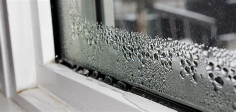 Preventing Mold Growth Moisture Detection