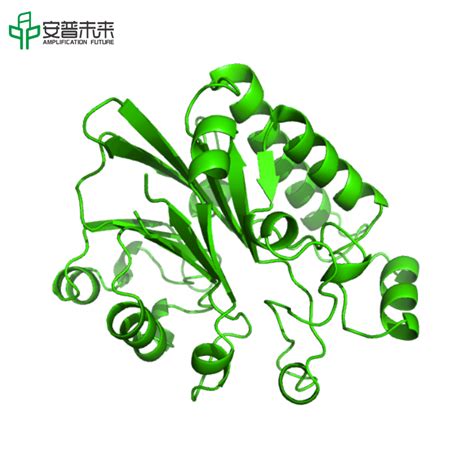 China Exonuclease Iii 2 0 Manufacturers Suppliers Customized Exonuclease Iii 2 0 Price