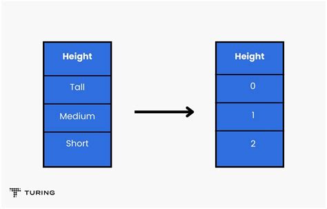 How Data Collection And Data Preprocessing Assist Machine Learning