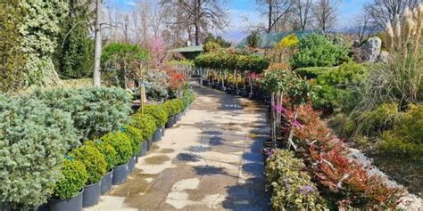 Четири предлог растенија кои ќе ги најдете во Хорти Експерт МК Gradina Mk