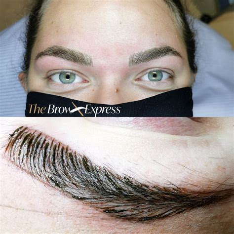 Portfolio The Brow Express