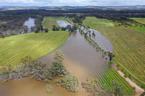 Vineyards Impacted By Floods In Victoria Winetitles
