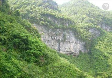 Aaaa