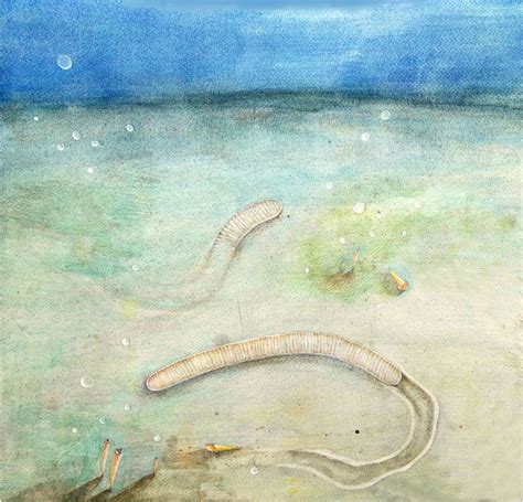 [pdf] Centimeter Wide Worm Like Fossils From The Lowest Cambrian Of
