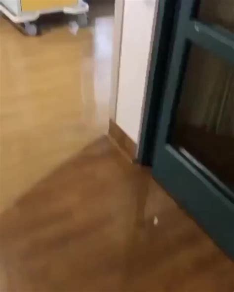 Wash And Sanitize Your Hands Ifunny