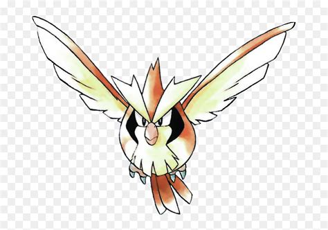 Ken Sugimori Art Hd Png Download Vhv