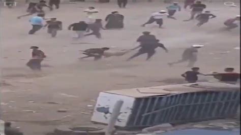 سرقة الأكباش حصريا على قناة ناسيونال جيوكرافيك Youtube