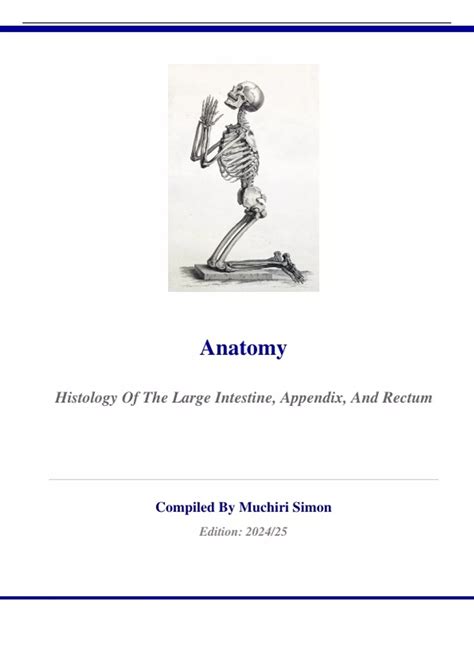 Anatomy Histology Of The Large Intestine Appendix And Rectum Anatomy Histology Of The Large Intestine Appendix And Rectum