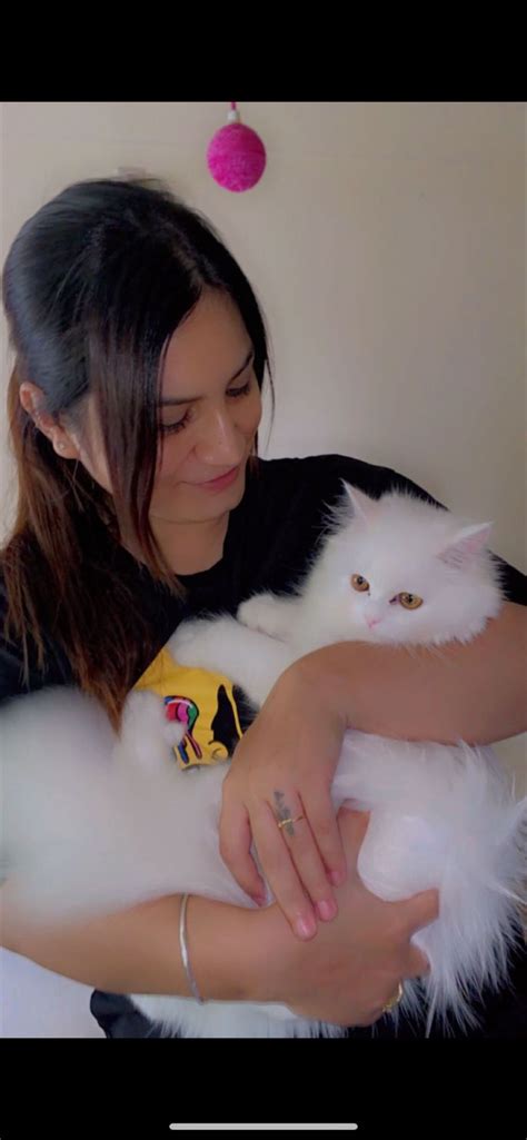 Imast Unlocking Success In Loyalty Programs Shreya Juneja Posted On