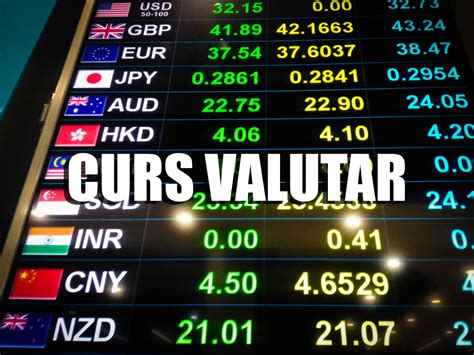 Curs valutar februarie Cât costă azi euro curs BNR