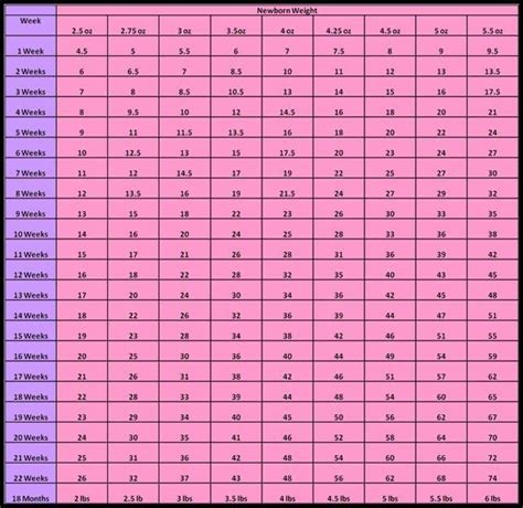 Yorkshire Terrier Growth Chart How Big Will Your Yorkie Get Artofit
