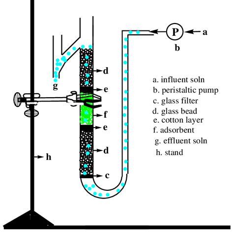 Schematic Diagram Of Column Experiment Download Scientific Diagram