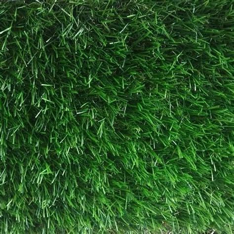 Pp 8mm Artificial Grass For Garden At ₹ 600sq Ft In Kanpur Id