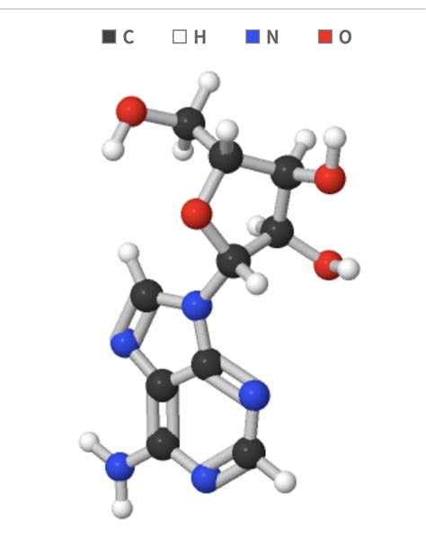 Solved Calculate The Formula Mass Of The Molecule From Chegg