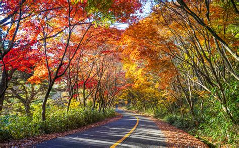 무등산 이미지 찾아보기 172 스톡 사진 벡터 및 비디오 Adobe Stock