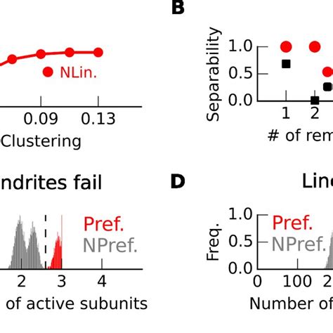 Stimulus Selectivity Achieved With The Spatial Distribution Of Synapses Download Scientific
