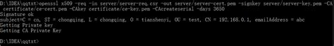 Java使用openssl详解openssl安装教程、openssl制作证书、java代码实现openssl、浏览器通过访问后端