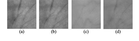 Figure 4 From A Hand Based Multi Biometrics Via Deep Hashing Network And Biometric Graph