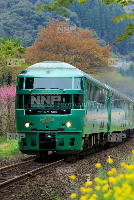 Nnp Photo Library