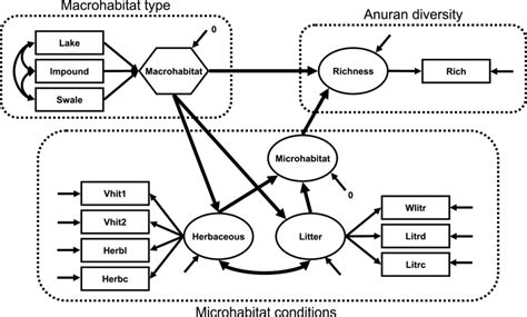Model Representing Hypothesized Relations Among Macrohabitat Types