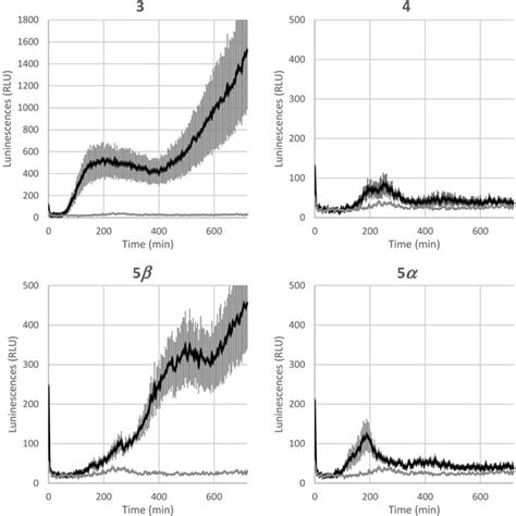 Extracellular Reactive Oxygen Species Ros Production Following