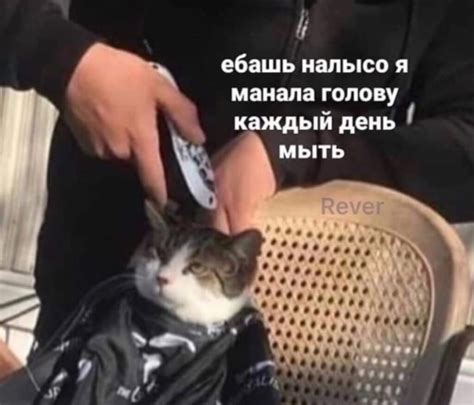 Выжатый лимон 2024 ВКонтакте